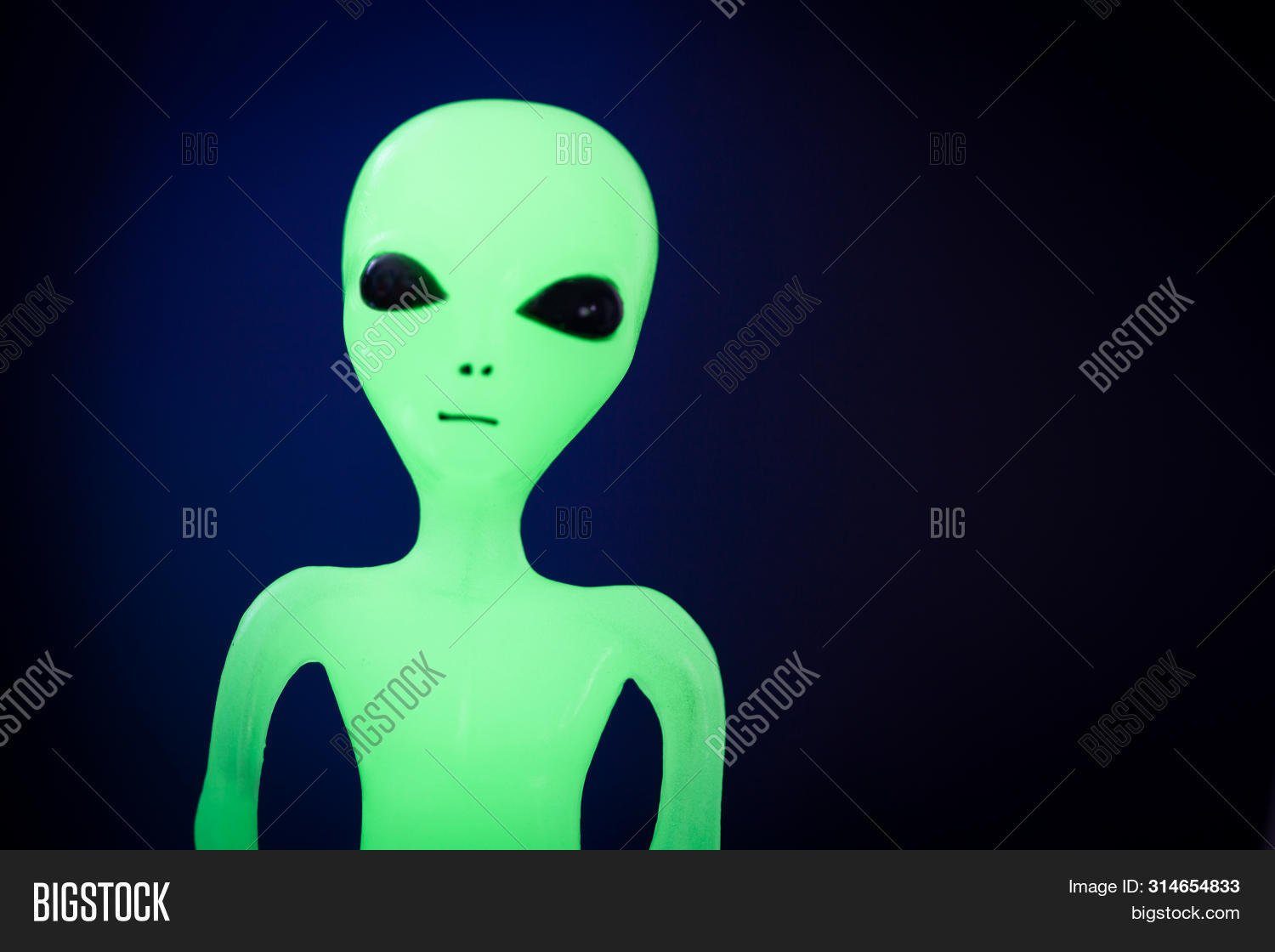 Grey Alien / Extra Image & Photo (Free Trial) | Bigstock