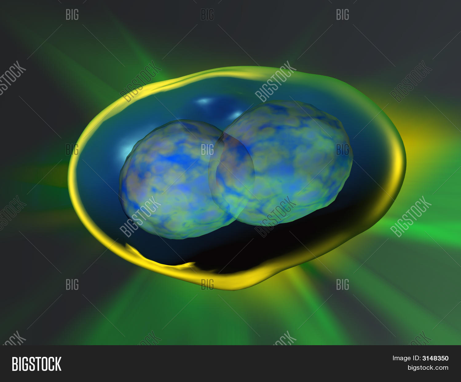 Cell Division Image & Photo (Free Trial) | Bigstock