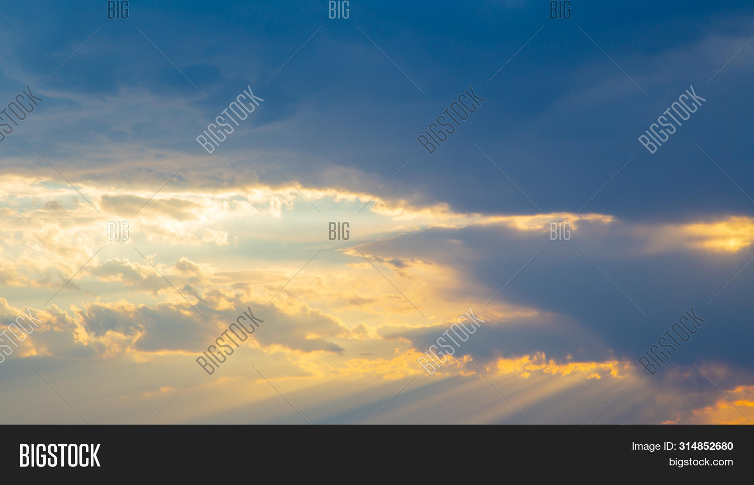 Pink Vanilla Heaven. Image & Photo (Free Trial) | Bigstock