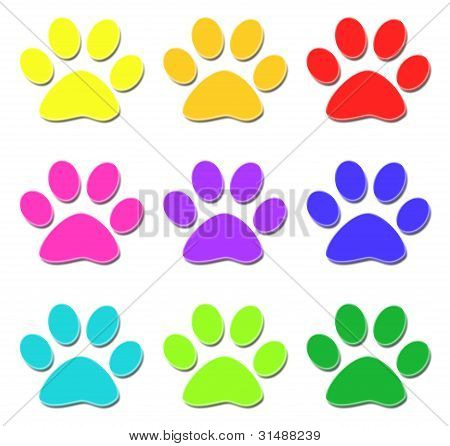 Colored Paw Print Image & Photo (Free Trial) | Bigstock