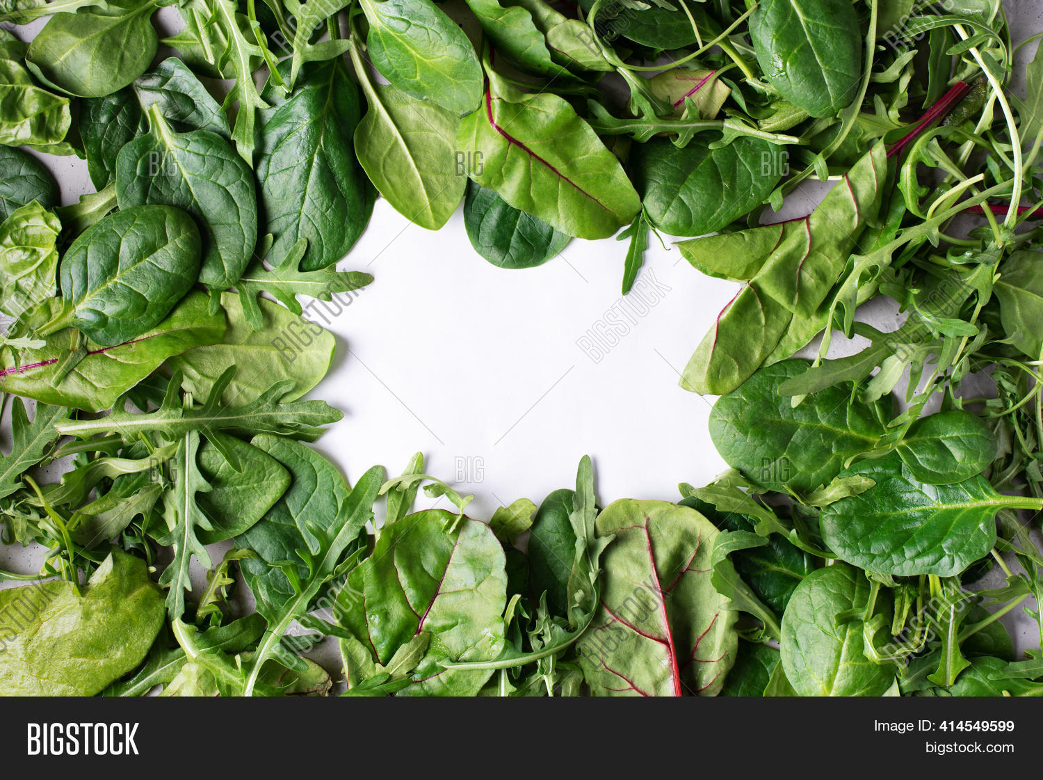 Leafy Vegetable Border Image & Photo (Free Trial) | Bigstock