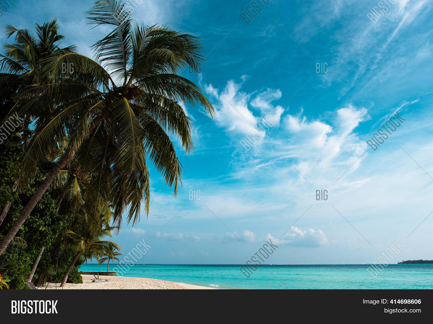Tropical Beach. Leaves Image & Photo (Free Trial) | Bigstock