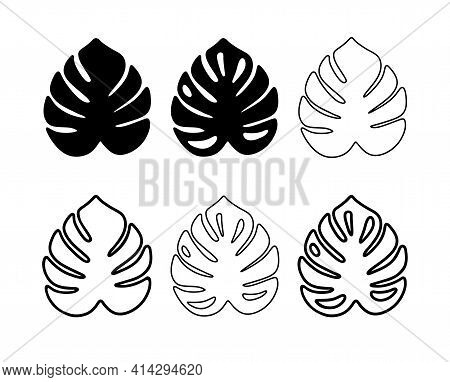 Monstera Leaf Stencil