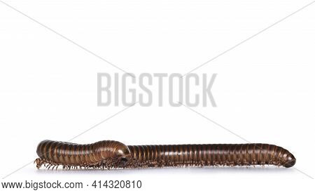 Eye Level View Ghana Image & Photo (Free Trial) | Bigstock