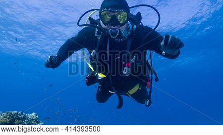 Diver Bottom Red Sea Image & Photo (Free Trial) | Bigstock