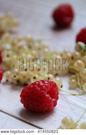 Red Raspberries Images, Illustrations & Vectors (Free) - Bigstock