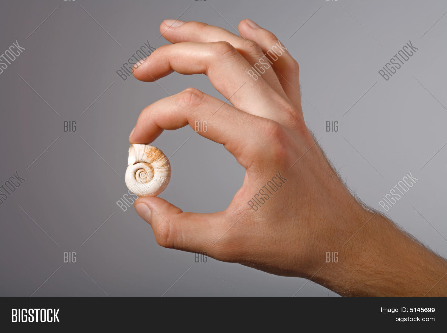 Shell Man's Hand Image & Photo (Free Trial) | Bigstock