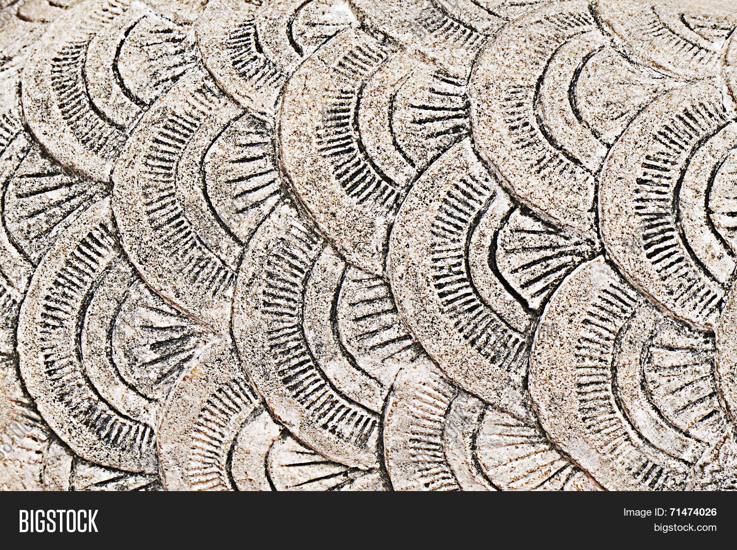 Naga Scale Pattern Image & Photo (Free Trial) | Bigstock