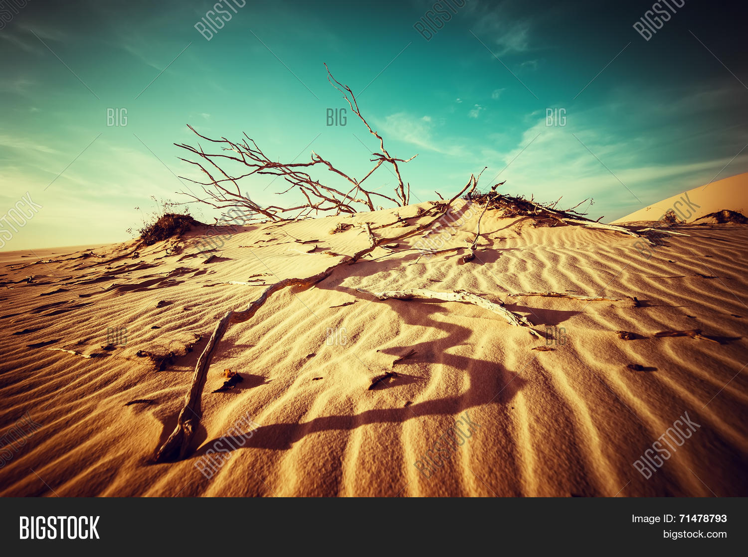 Desert Landscape Dead Image & Photo (Free Trial) | Bigstock