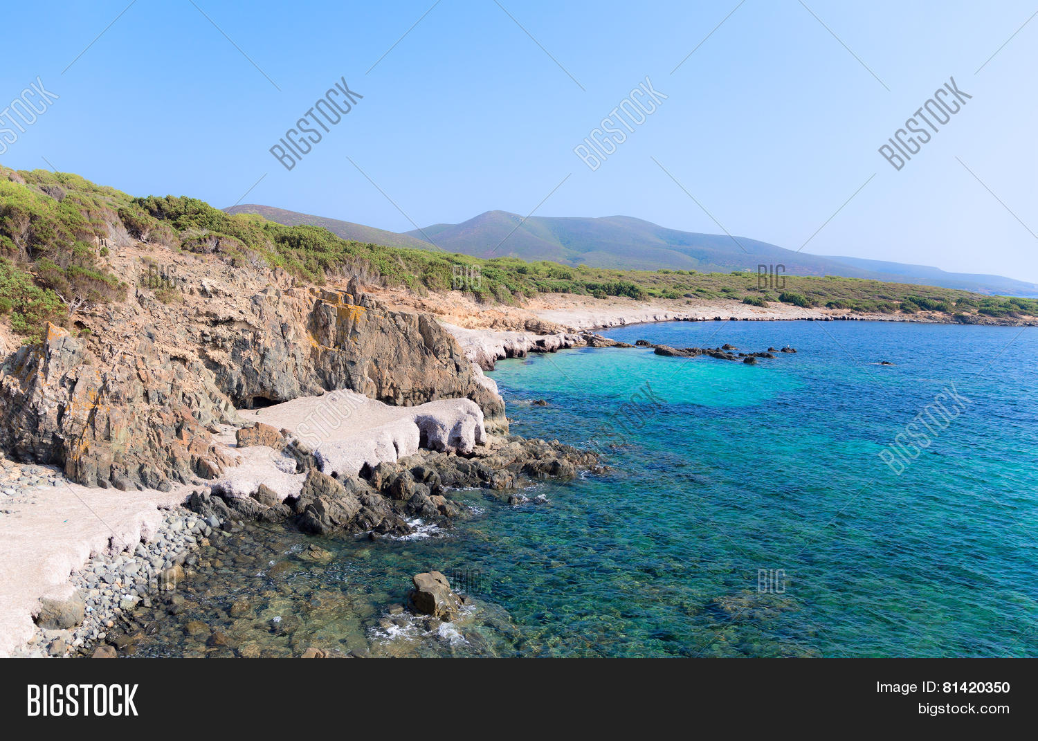Wild Beach Image & Photo (Free Trial) | Bigstock