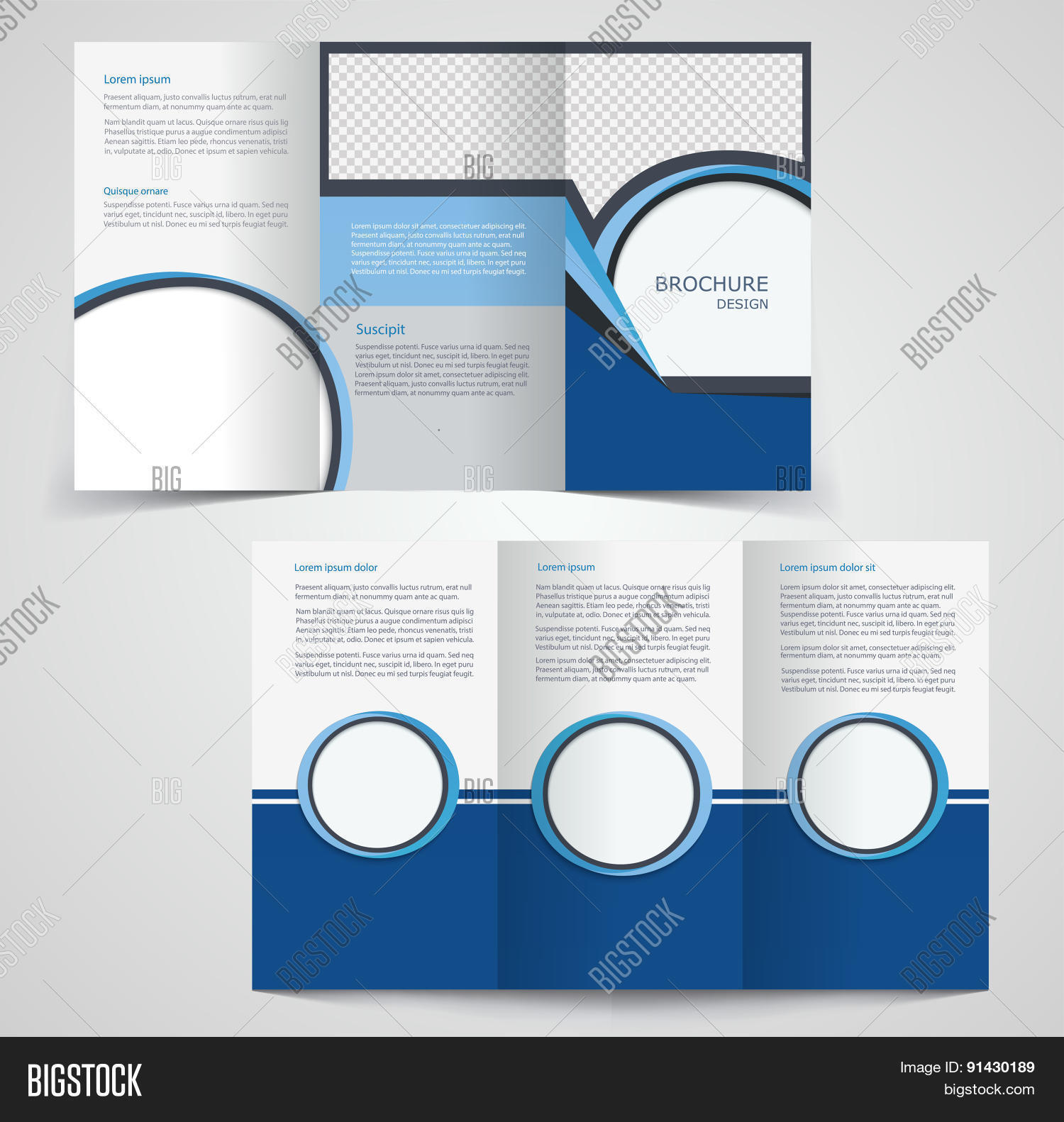 Tri-fold Business Vector & Photo (Free Trial) | Bigstock