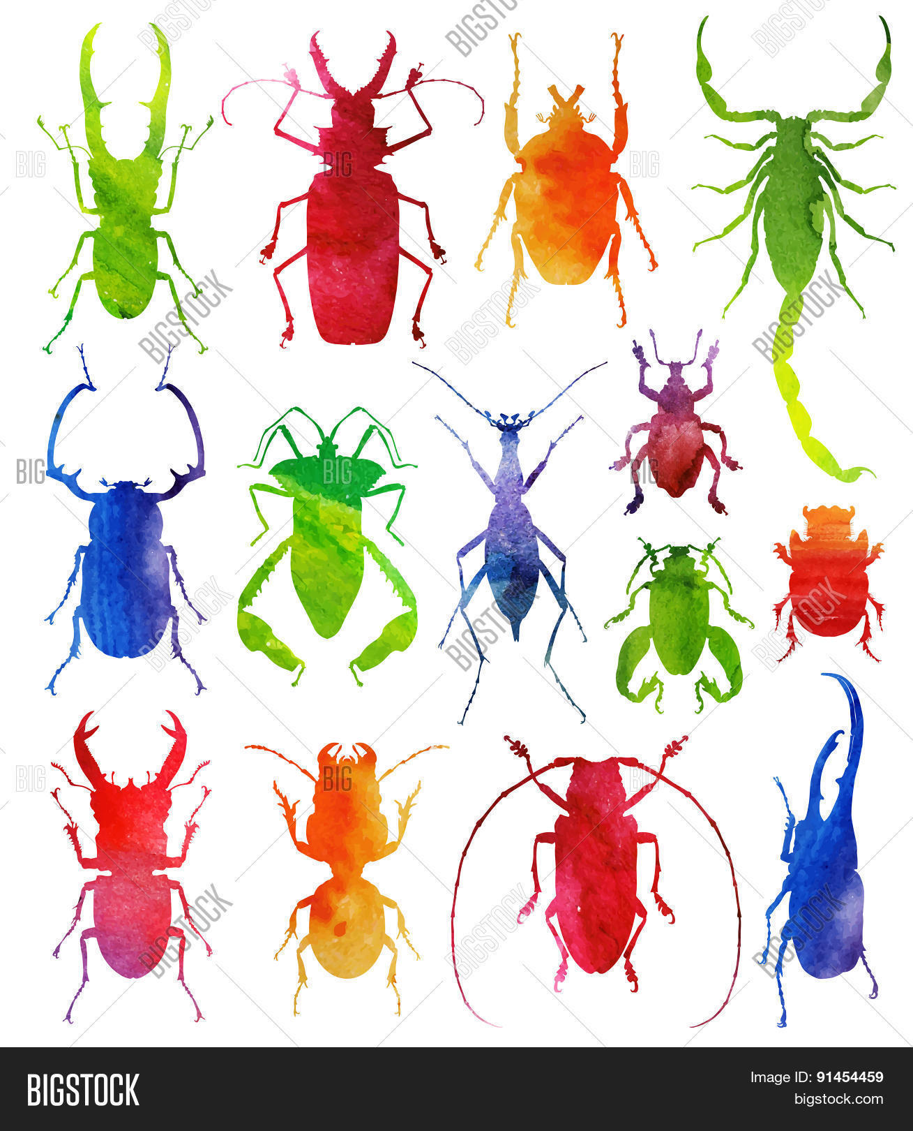 Illustration Beetles Vector & Photo (Free Trial) | Bigstock