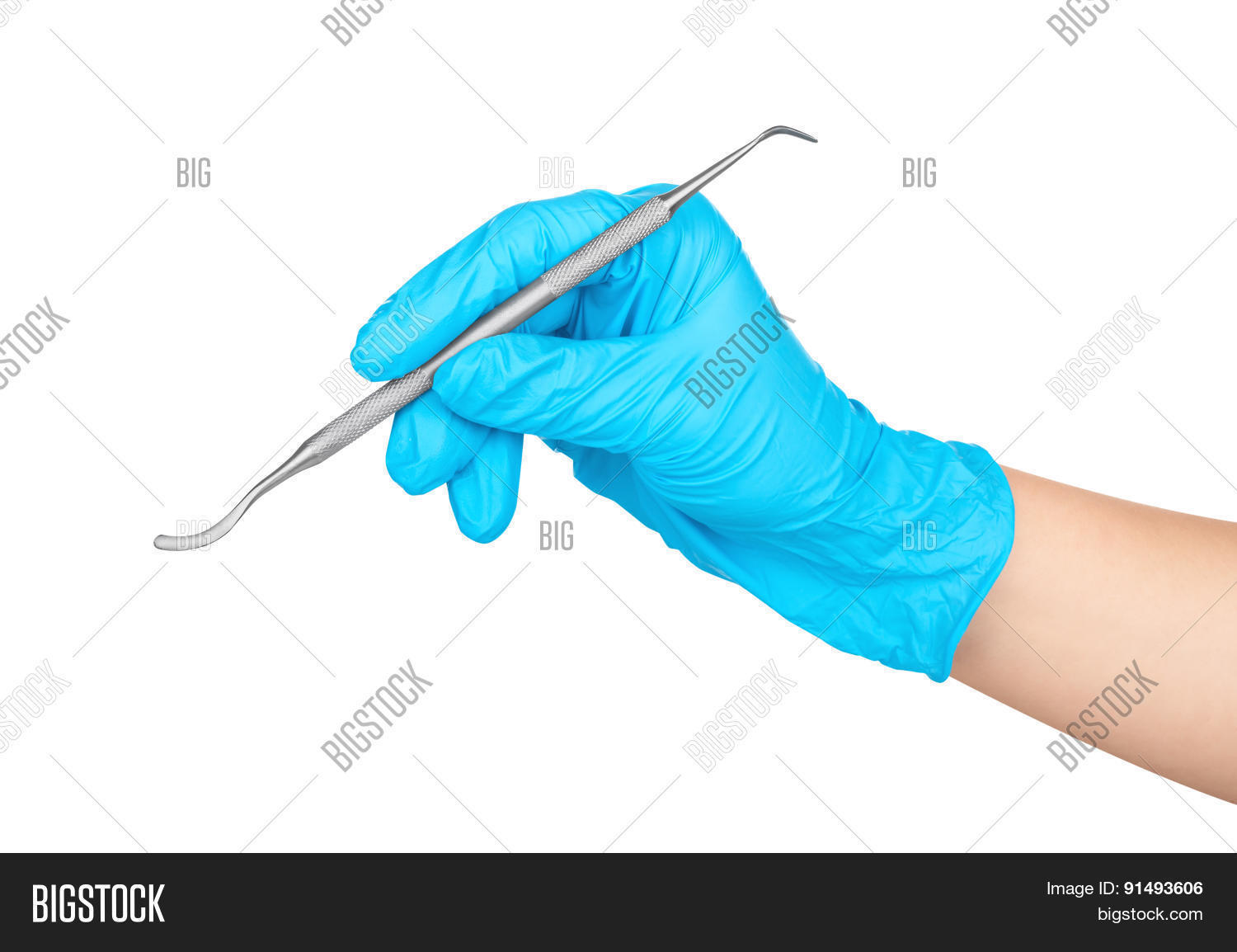 Gloved Hand Holding Image & Photo (Free Trial) | Bigstock