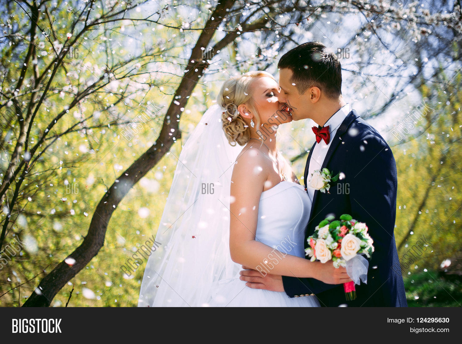 Kissing Wedding Couple Image & Photo (Free Trial) | Bigstock