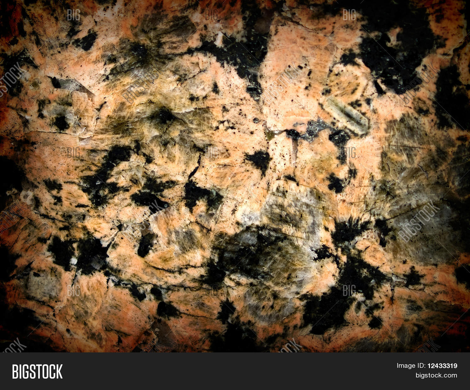 Black Salmon Colored Image & Photo (Free Trial) | Bigstock