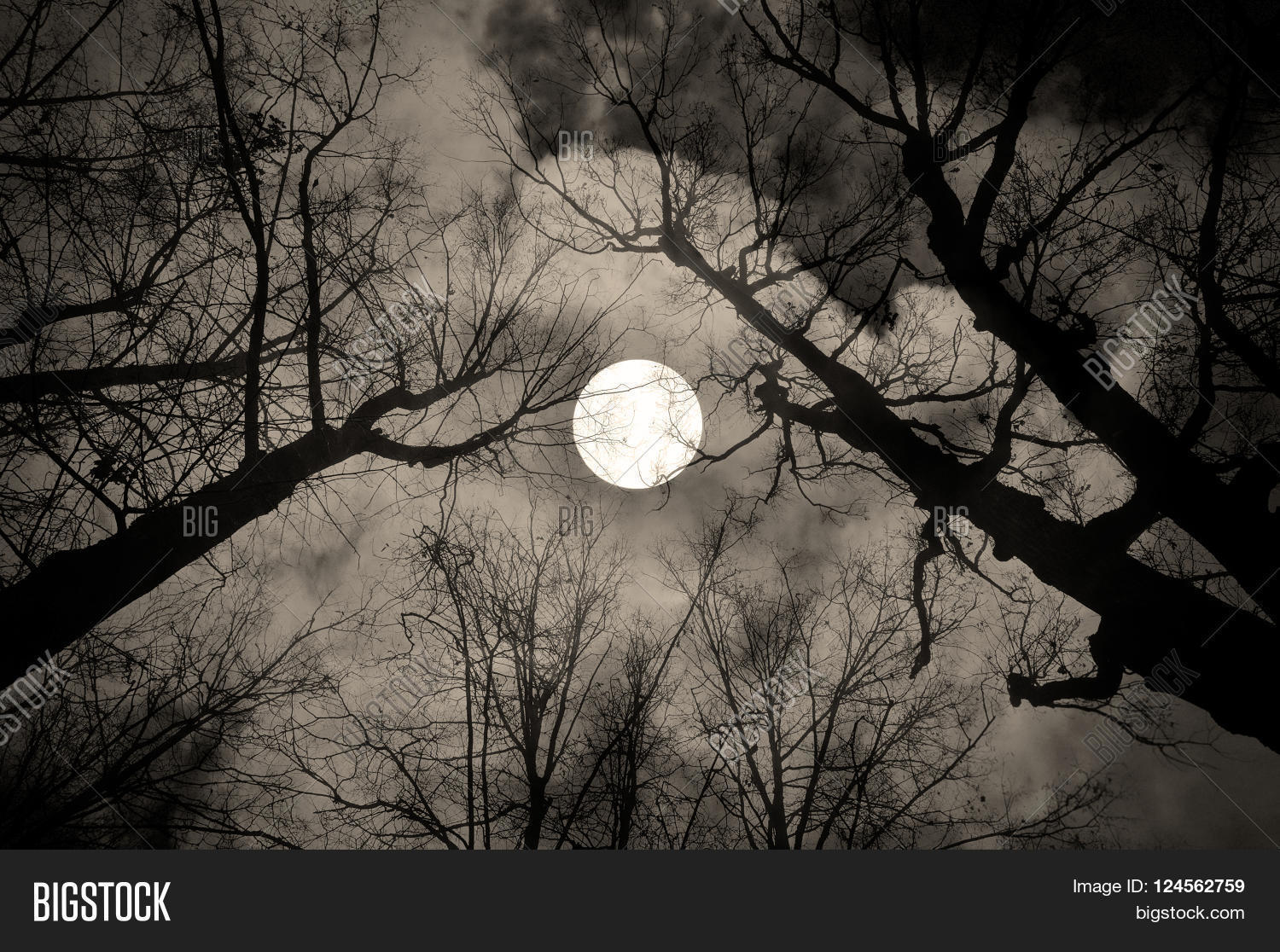 Gothic Night Landscape Image & Photo (Free Trial) | Bigstock