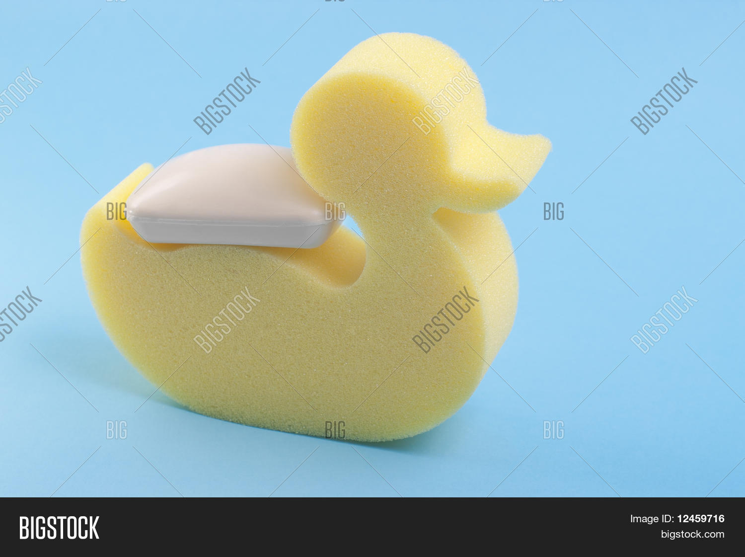 Duck Sponge Soap On Image & Photo (Free Trial) | Bigstock