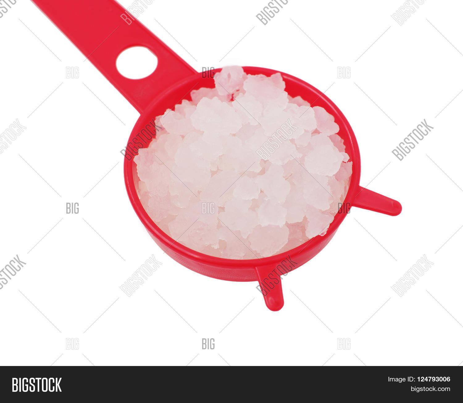 Fungus - Zooglea ' Image & Photo (Free Trial) | Bigstock