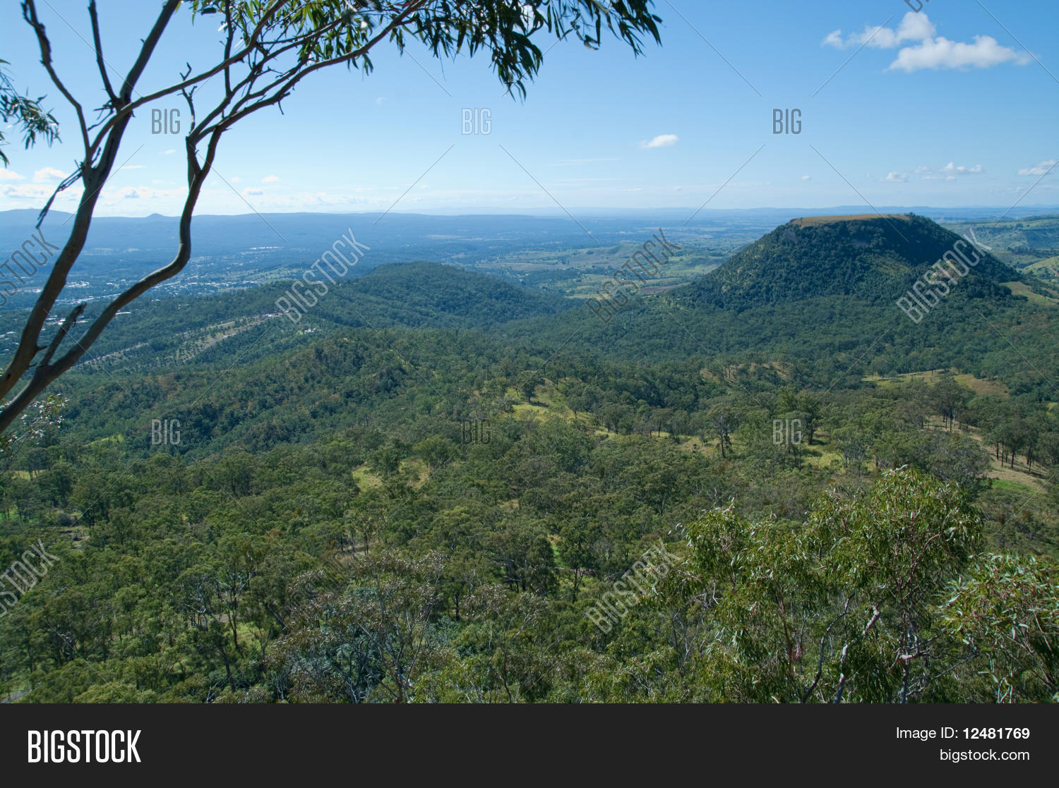 Forests Hills Image & Photo (Free Trial) | Bigstock