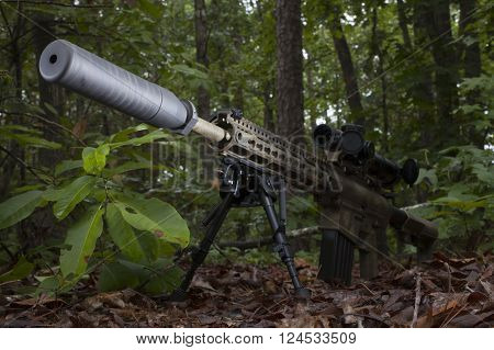 Modern Sporting Rifle Image & Photo (Free Trial) | Bigstock