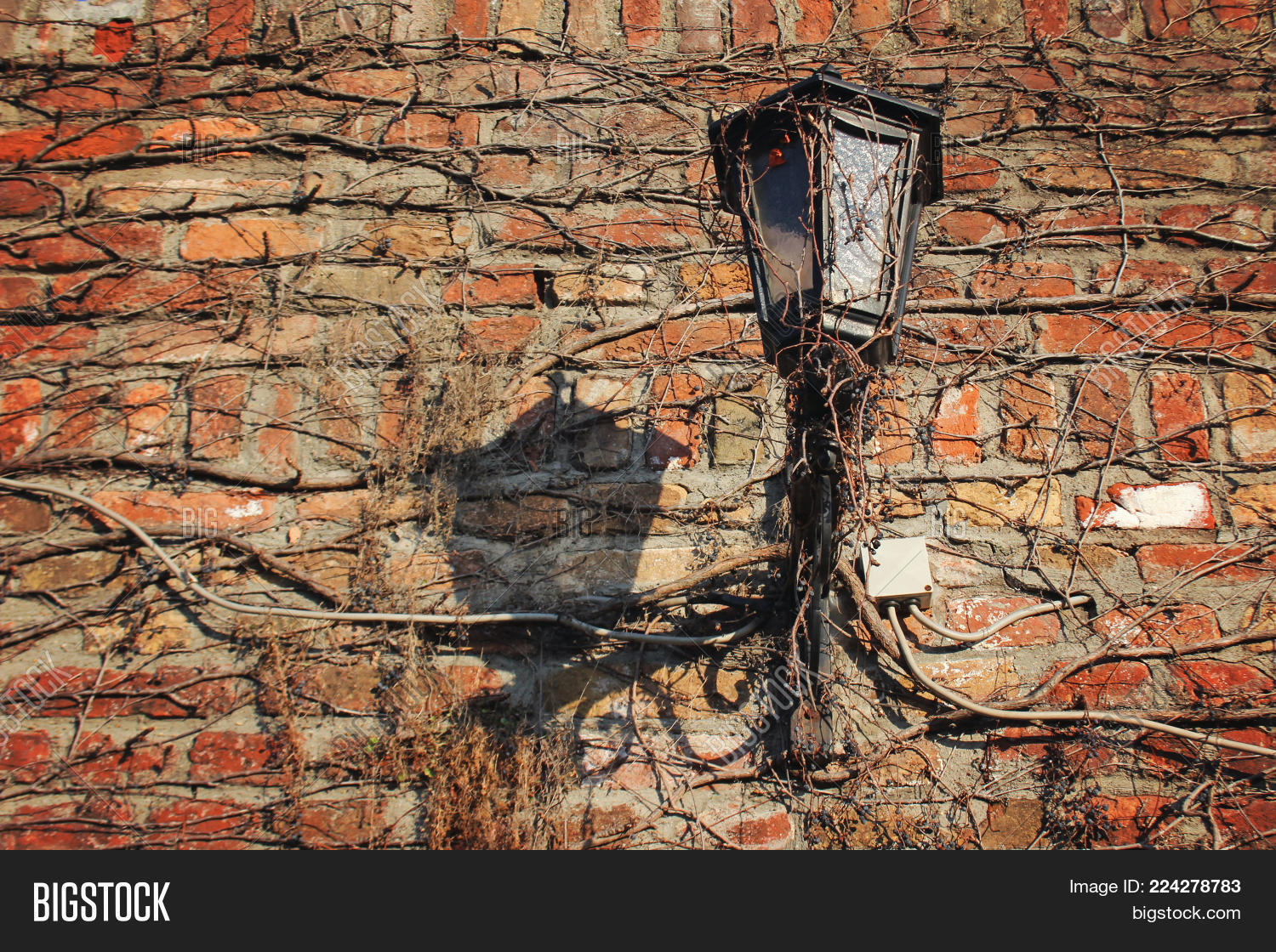 Old Rustic Wall Image & Photo (Free Trial) | Bigstock