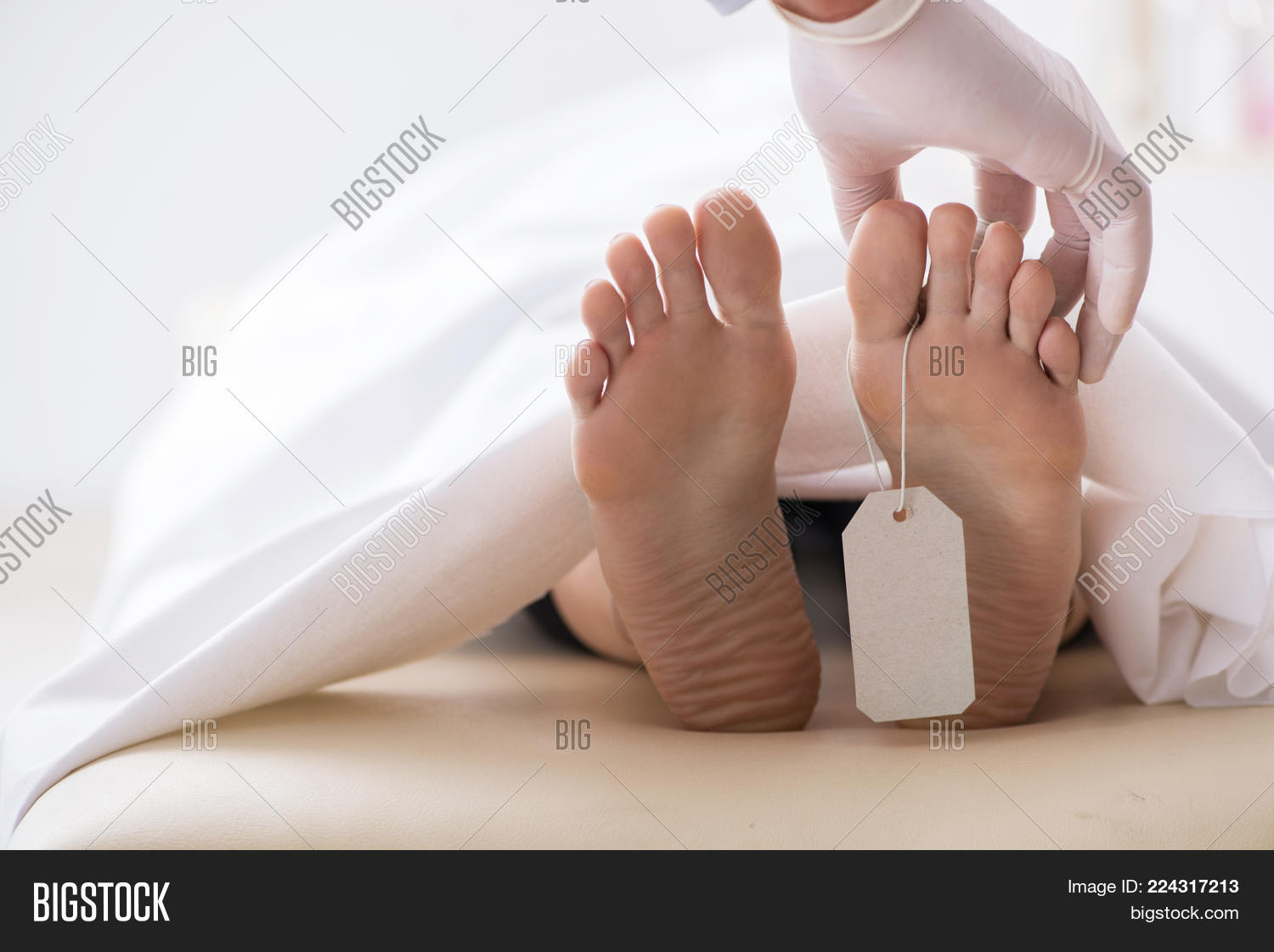 Police Coroner Image & Photo (Free Trial) | Bigstock