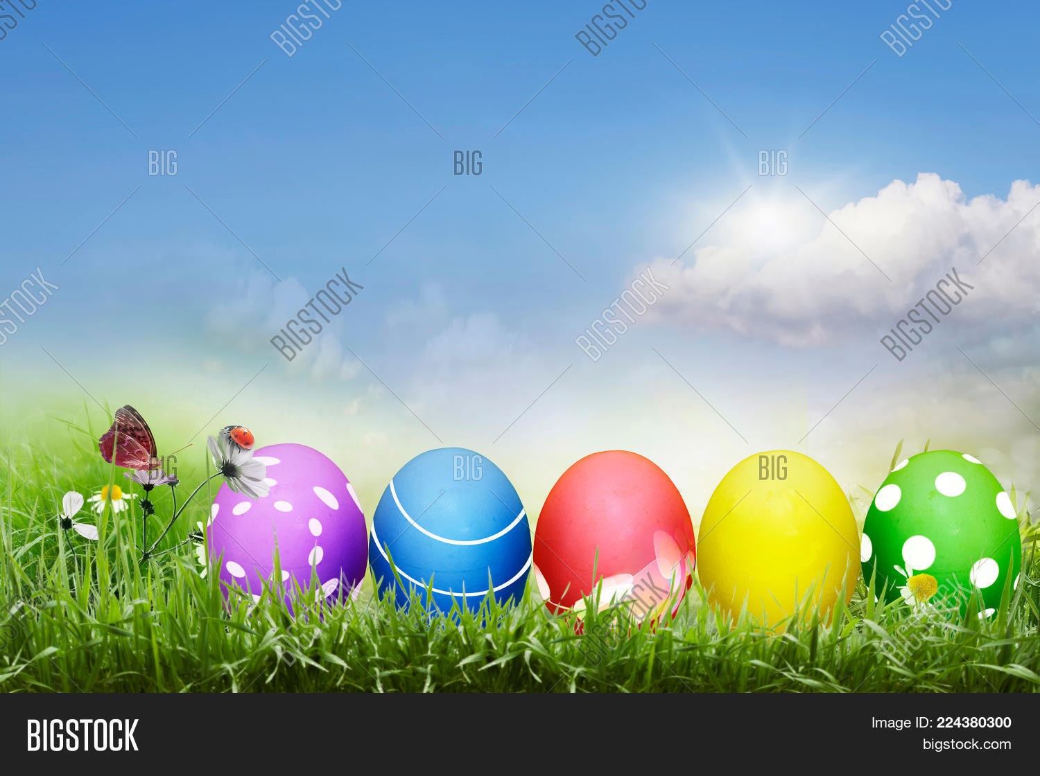 Easter Eggs Dyed Image And Photo Free Trial Bigstock