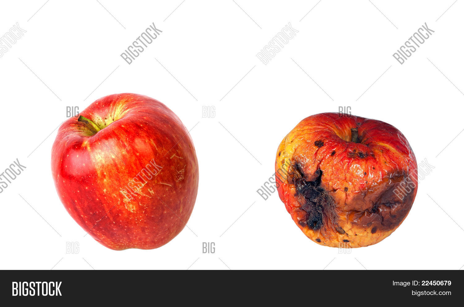 Rotten Fresh Apples Image & Photo (Free Trial) | Bigstock