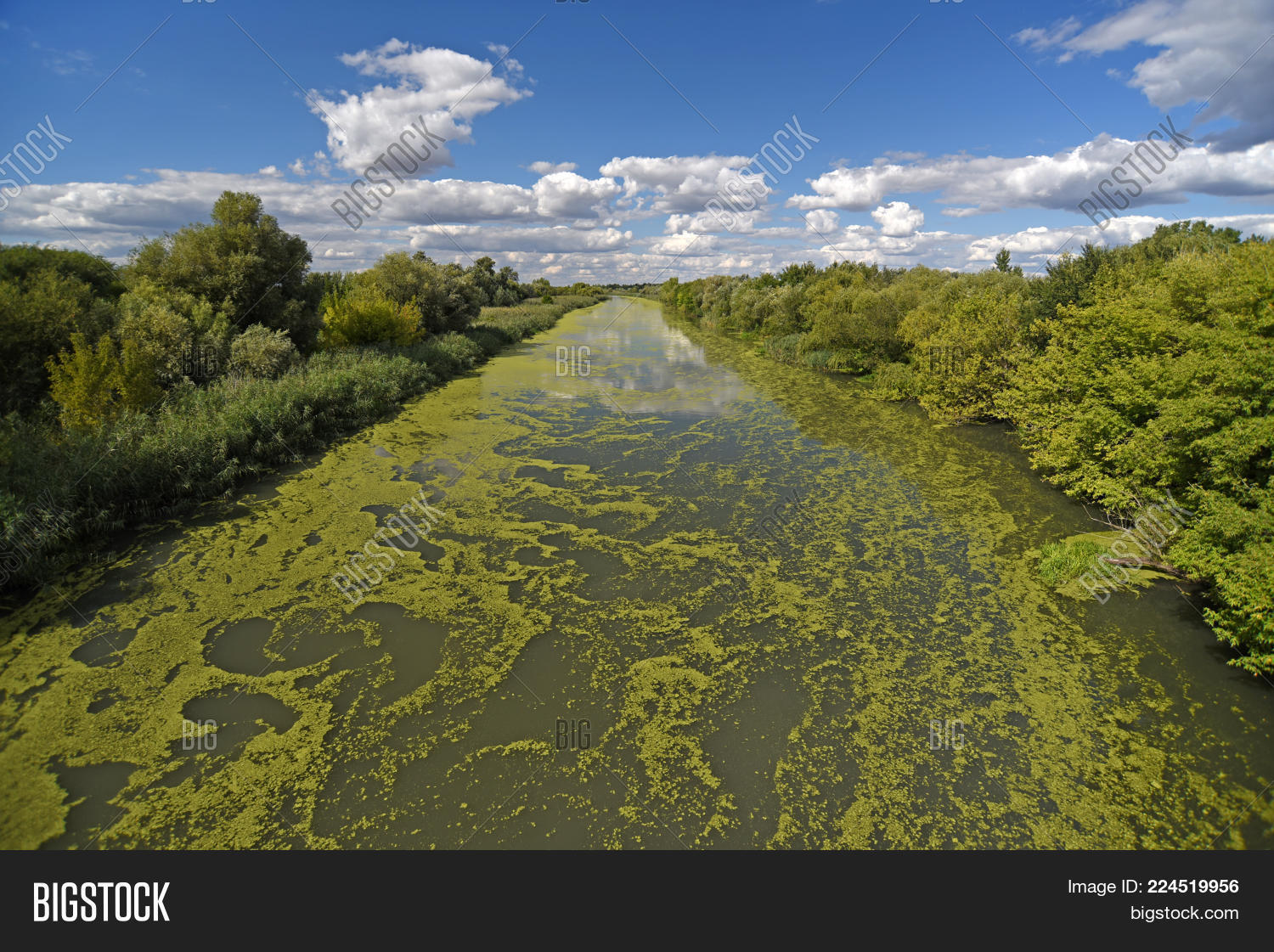 Color Water Pollution Image & Photo (Free Trial) | Bigstock