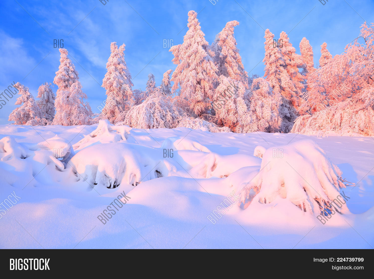 Snow Covered Lawn Image & Photo (Free Trial) | Bigstock