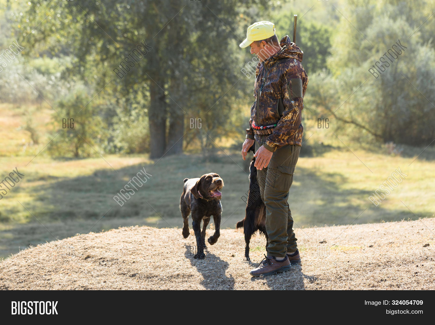 Hunting Period, Autumn Image & Photo (Free Trial) | Bigstock