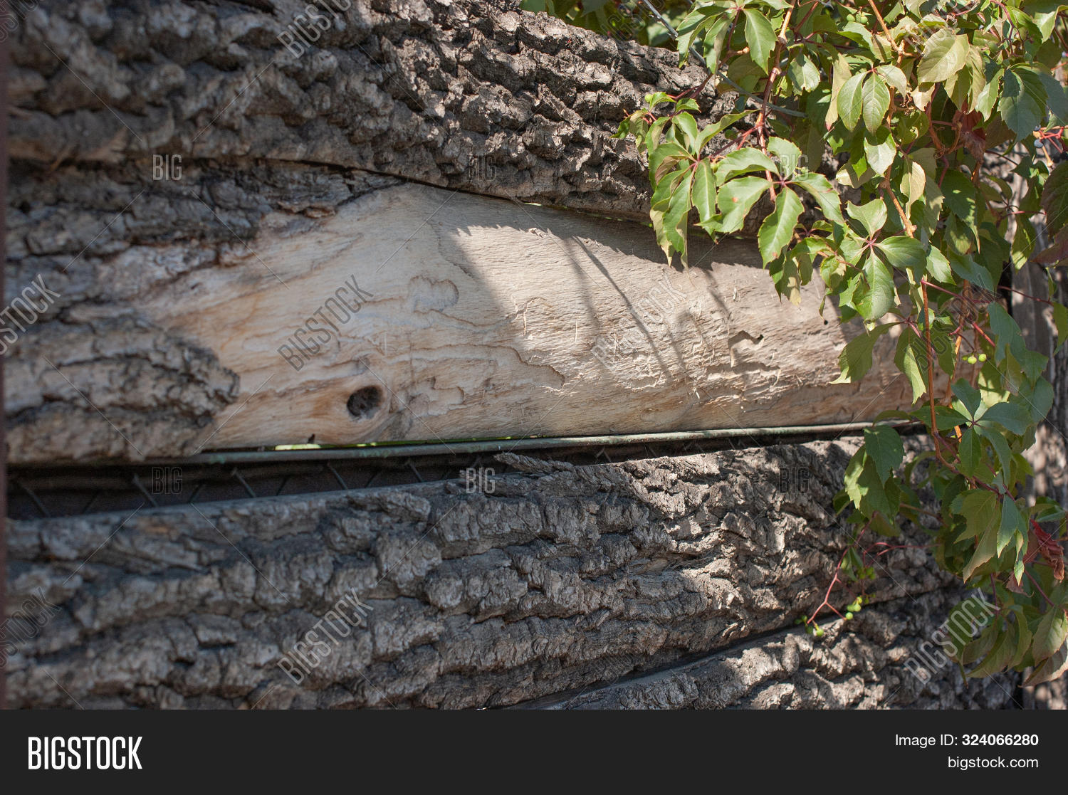 Texture Old. Real Old Image & Photo (Free Trial) | Bigstock