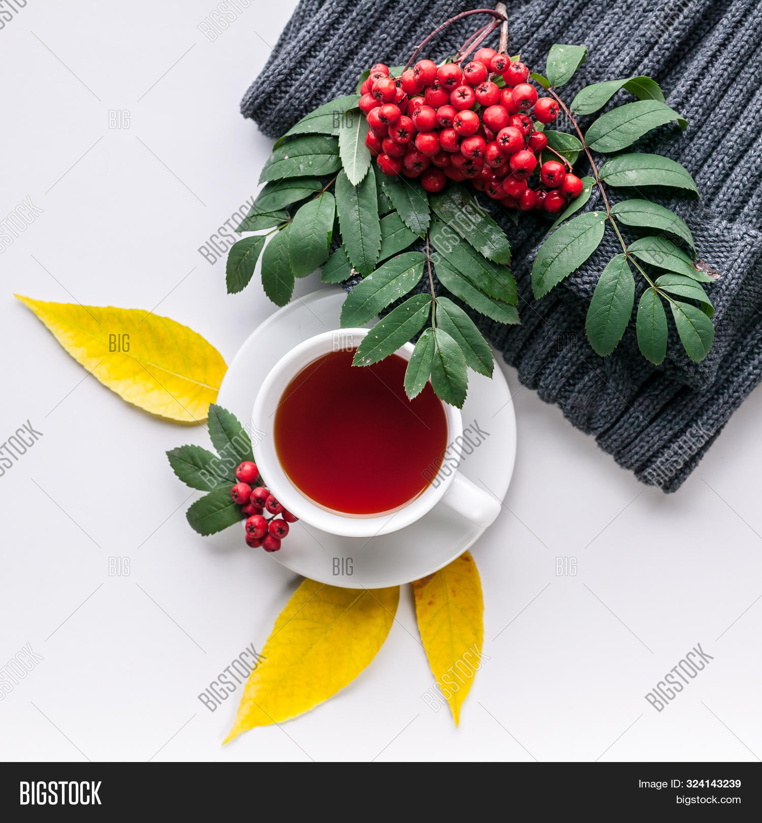 Ceramic Teacup On Image & Photo (Free Trial) | Bigstock