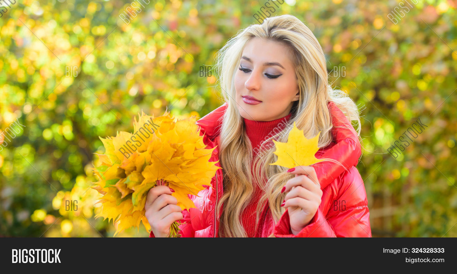 Woman Gather Leaves Image & Photo (Free Trial) | Bigstock