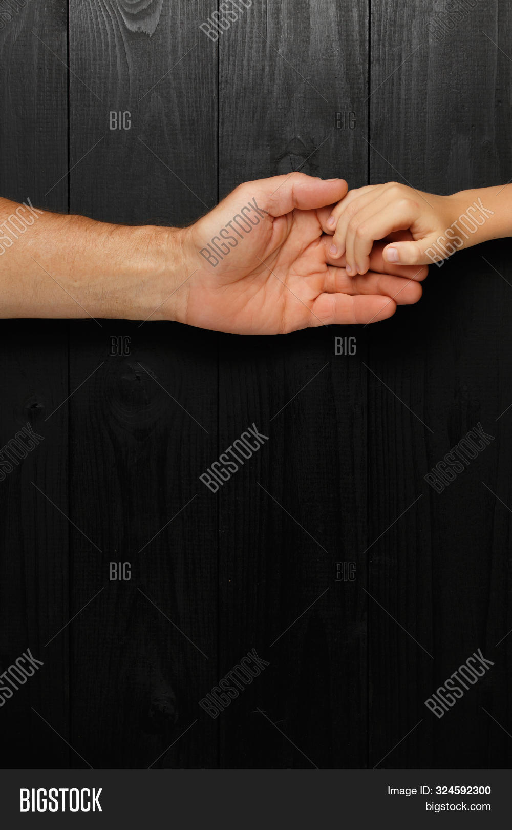 Top View, Adult Hands Image & Photo (Free Trial) | Bigstock