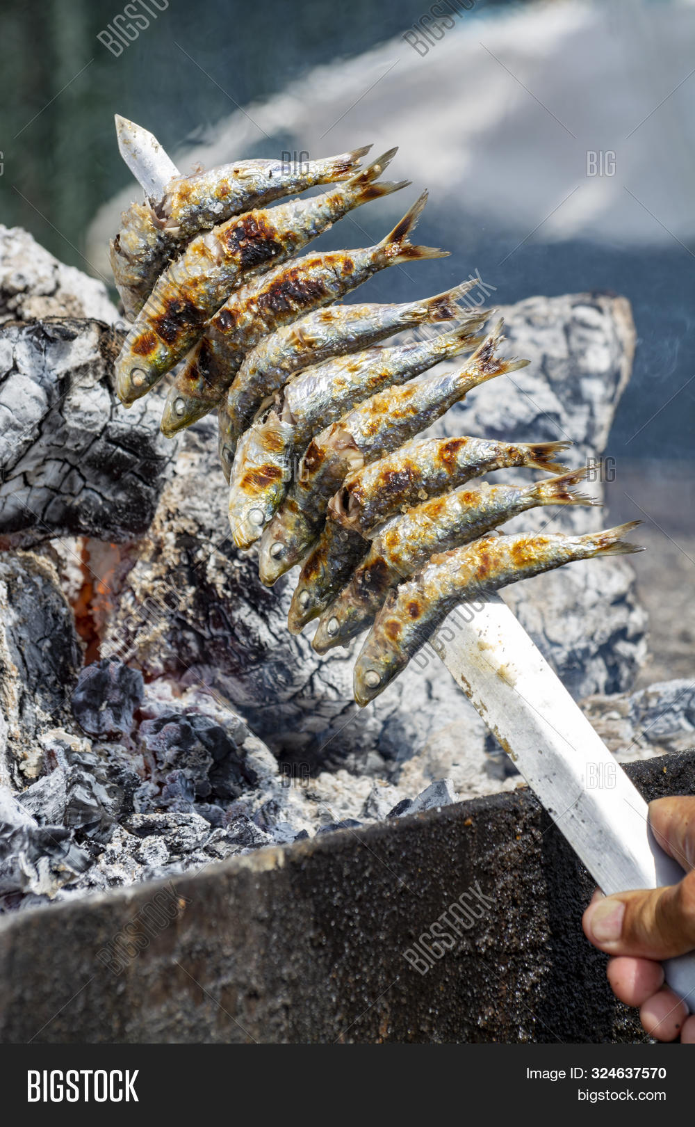 Espeto, Malaga Style Image & Photo (Free Trial) | Bigstock