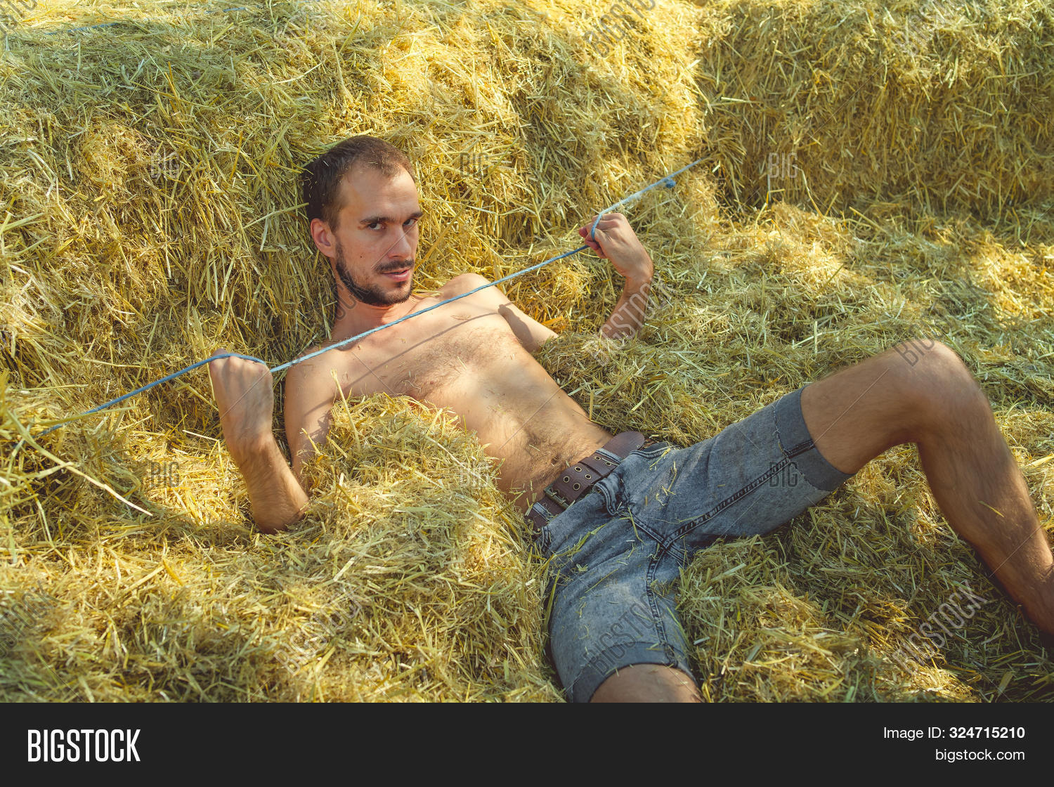Man On Hay, Male On Image & Photo (Free Trial) | Bigstock