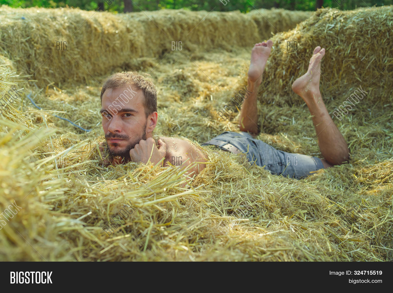 Man On Hay, Male On Image & Photo (Free Trial) | Bigstock