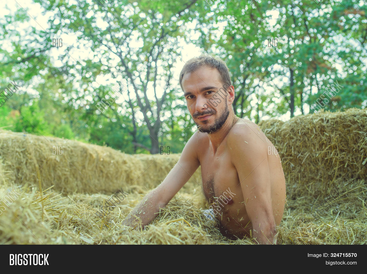 Image et photo de Man On Hay, (essai gratuit) | Bigstock