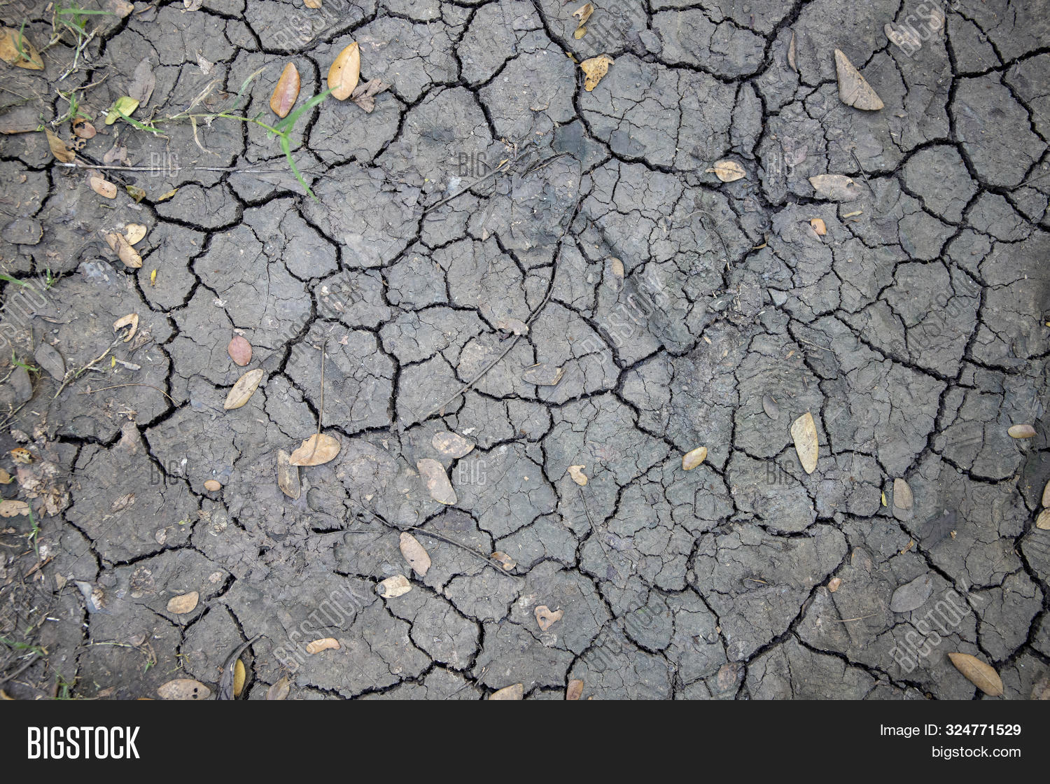 Cracked Soil Autumn Image & Photo (Free Trial) | Bigstock