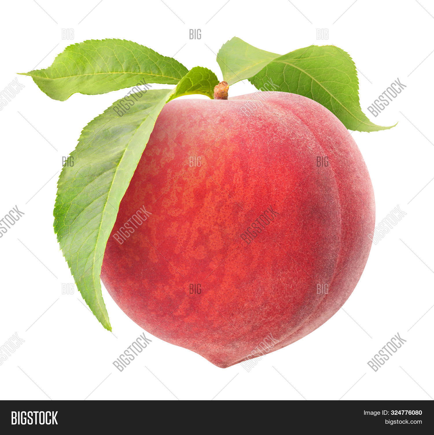 Isolated Peach. One Image & Photo (Free Trial) | Bigstock