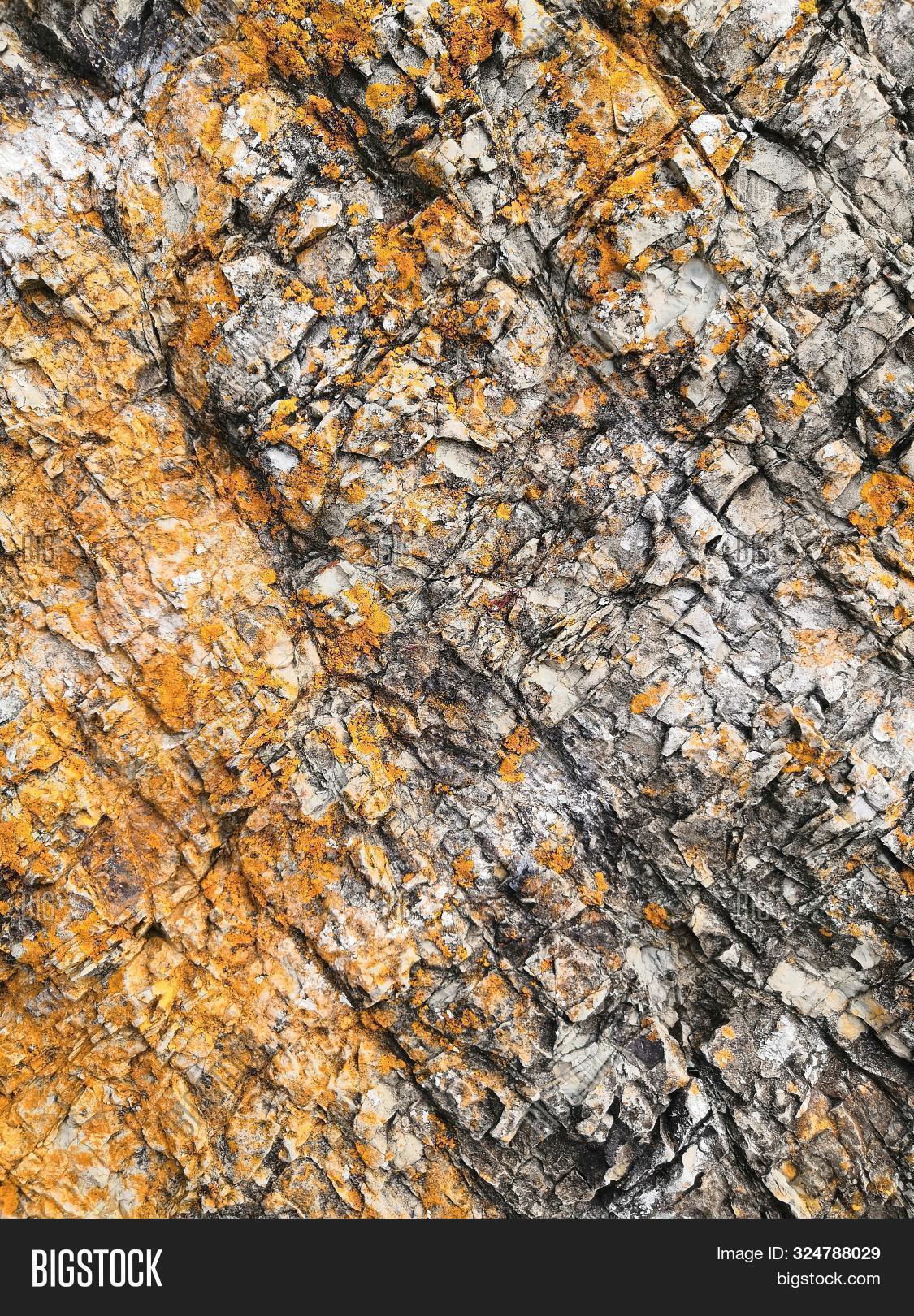 Texture Rocks. Gray Image & Photo (Free Trial) | Bigstock