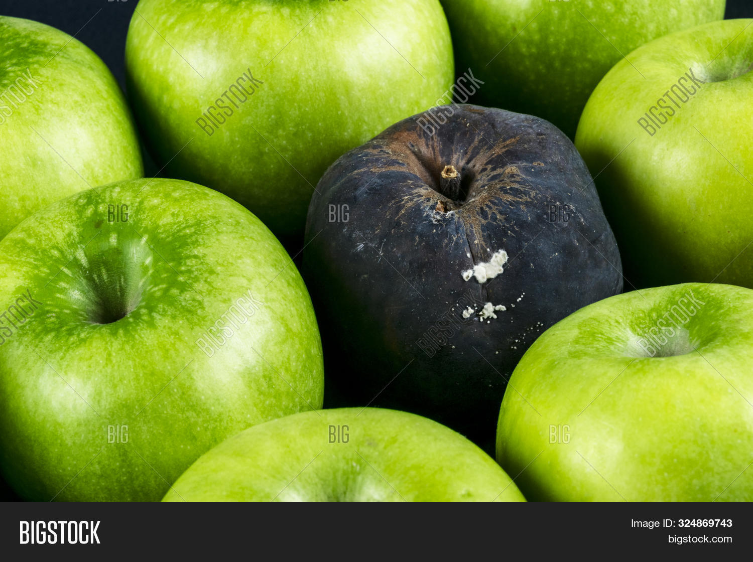 Rotten Apple Fresh Image & Photo (Free Trial) | Bigstock