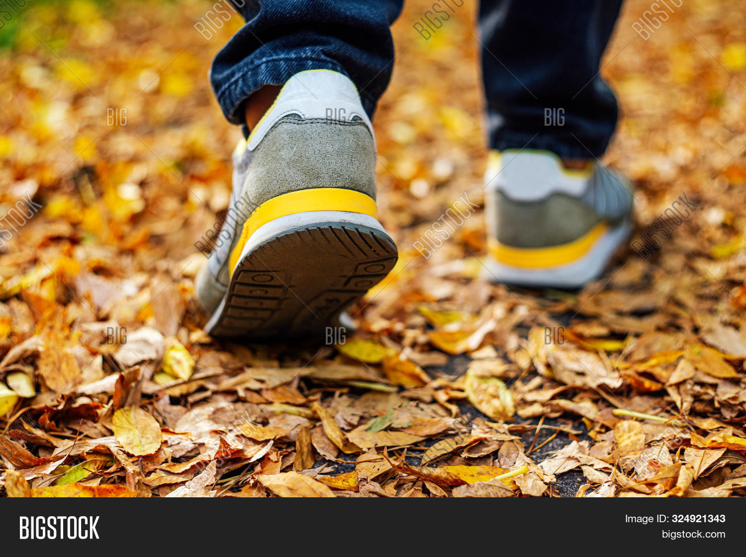 Walk On Pavement Image & Photo (Free Trial) | Bigstock
