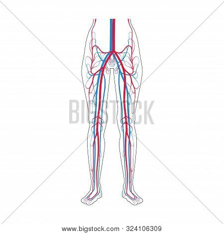 Vector Isolated Vector & Photo (Free Trial) | Bigstock