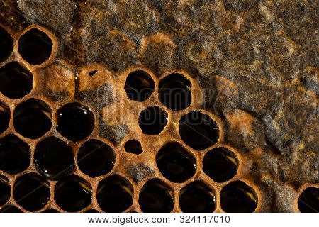 Images, Illustrations & Vectors (Free) - Bigstock