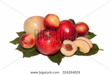Colorful Nectarines Image & Photo (Free Trial) | Bigstock