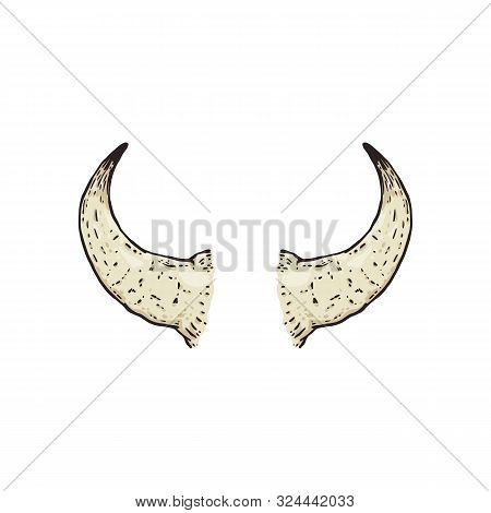 Buffalo Hand Drawn Vector & Photo (Free Trial) | Bigstock