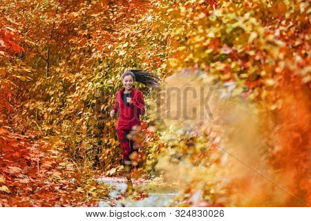Autumn Fall Foliage Image & Photo (Free Trial) | Bigstock