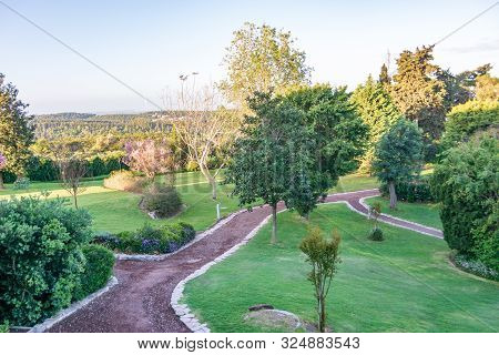 Famous Carmel Forest Image & Photo (Free Trial) | Bigstock